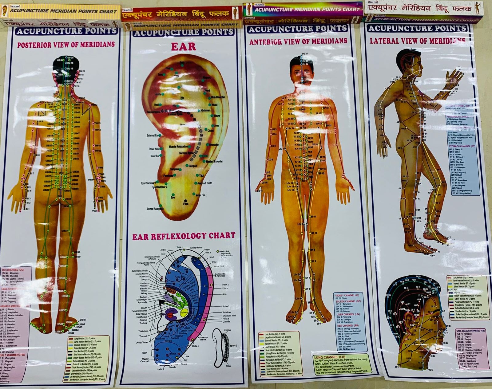 Acupuncture Charts Set of 4 - Acupressure Lucknow